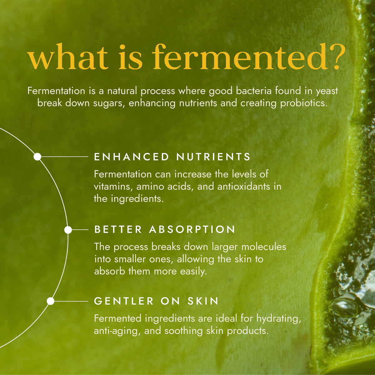 Organic Aloe Gel 150ml | Fermented Aloe Vera Gel for Face and Body – Fushi Wellbeing