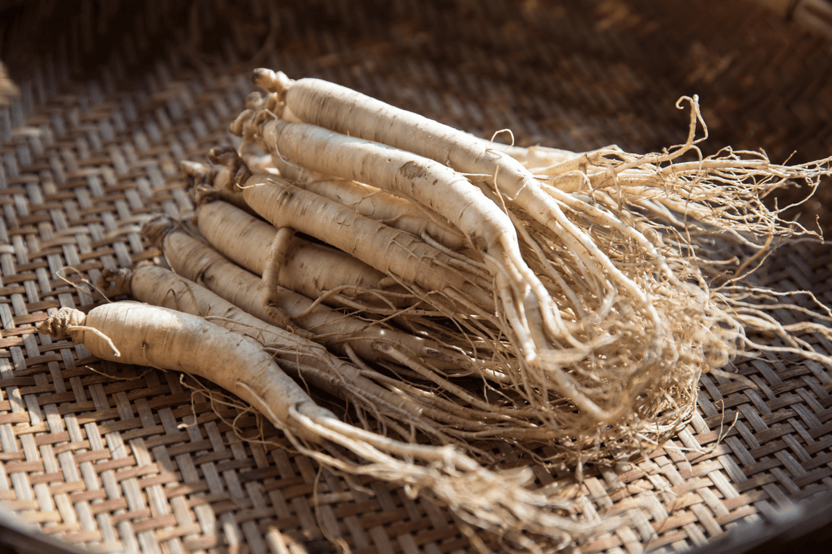 Ginseng - The Different Types & Benefits | Fushi Wellbeing